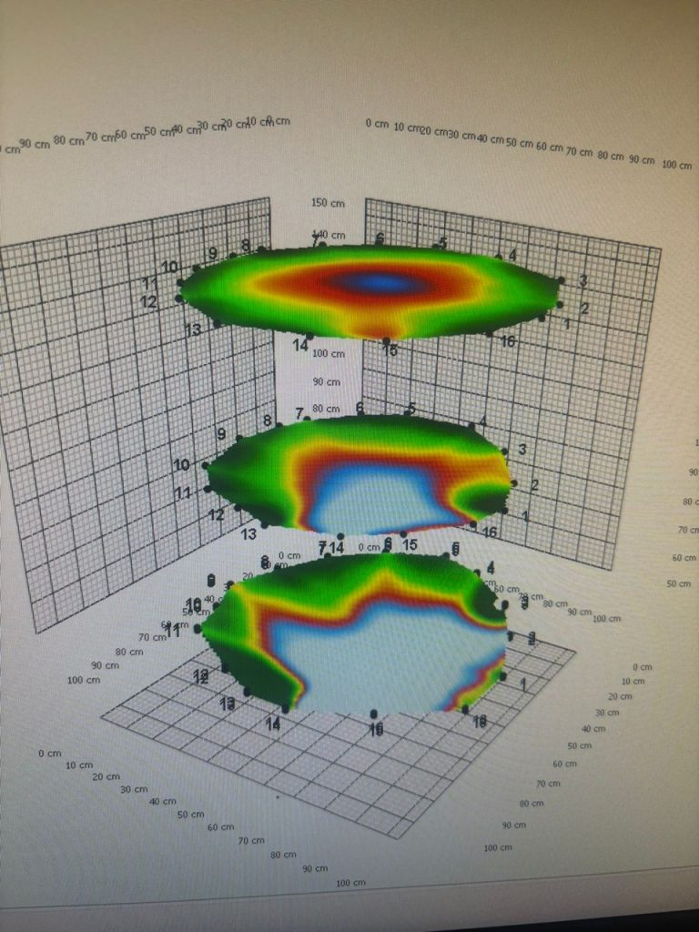 Safeguarding Historic Oaks at RHS Rosemoor with Advanced Decay ...