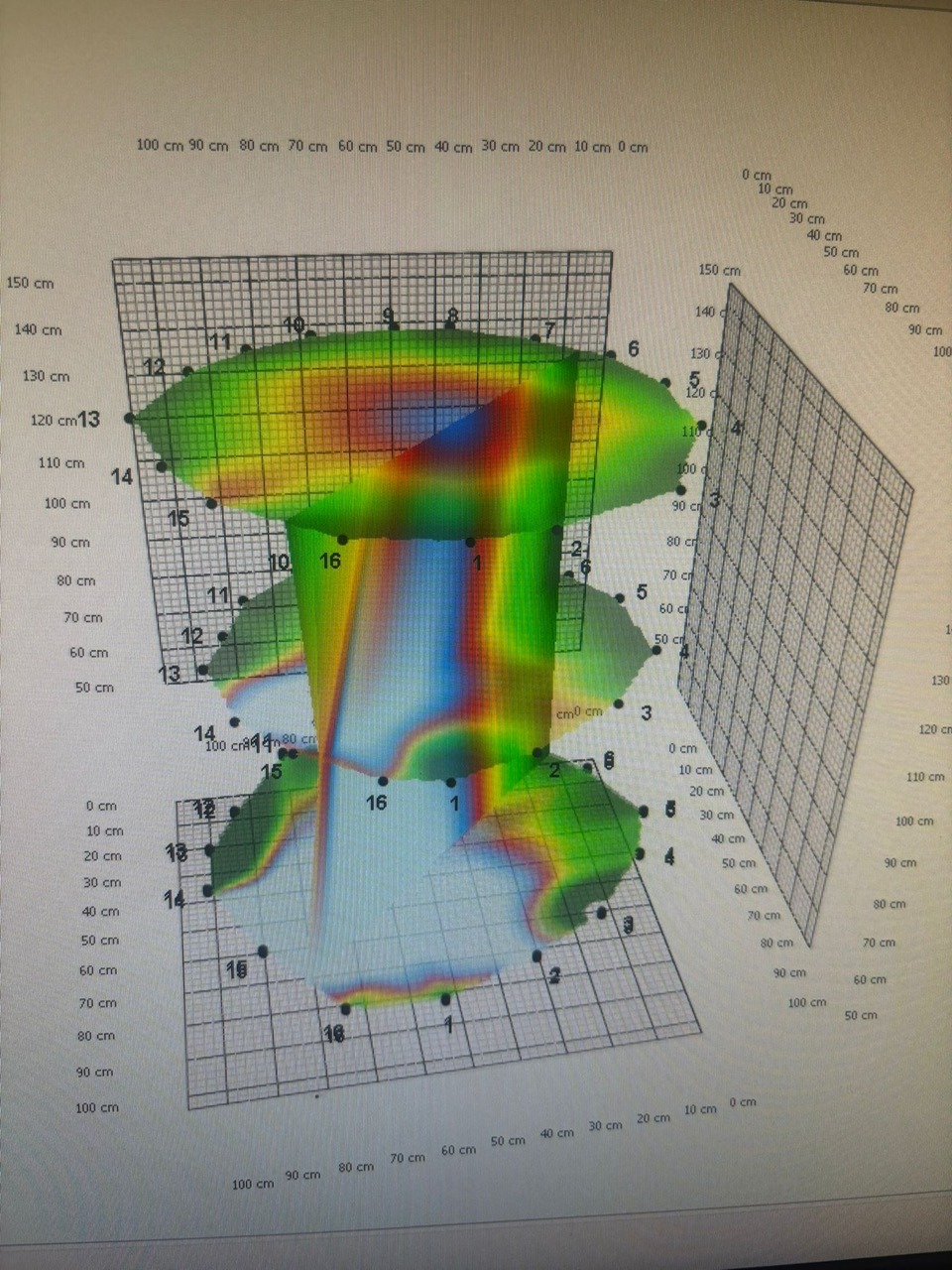 Safeguarding Historic Oaks at RHS Rosemoor with Advanced Decay ...