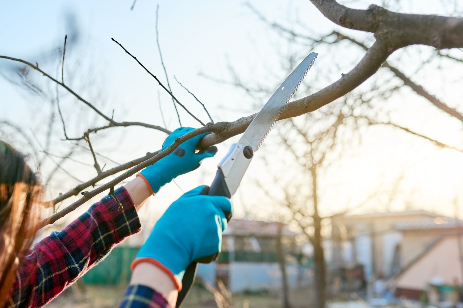 Tree Pruning in Devon: Why, When, and How to Prune Properly